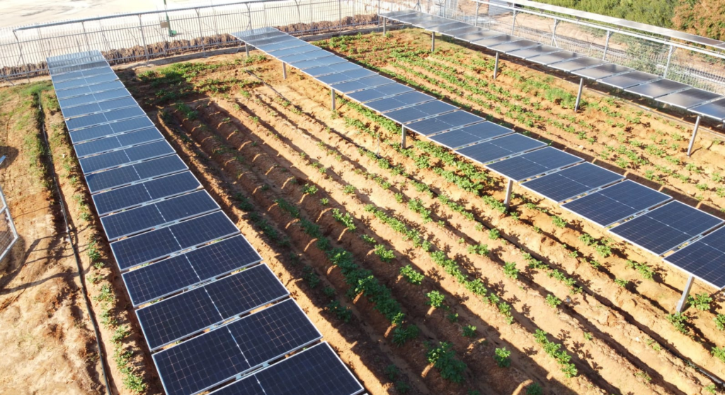 Home - Doral Renewables LLC