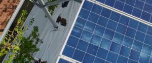 Home - Doral Renewables LLC