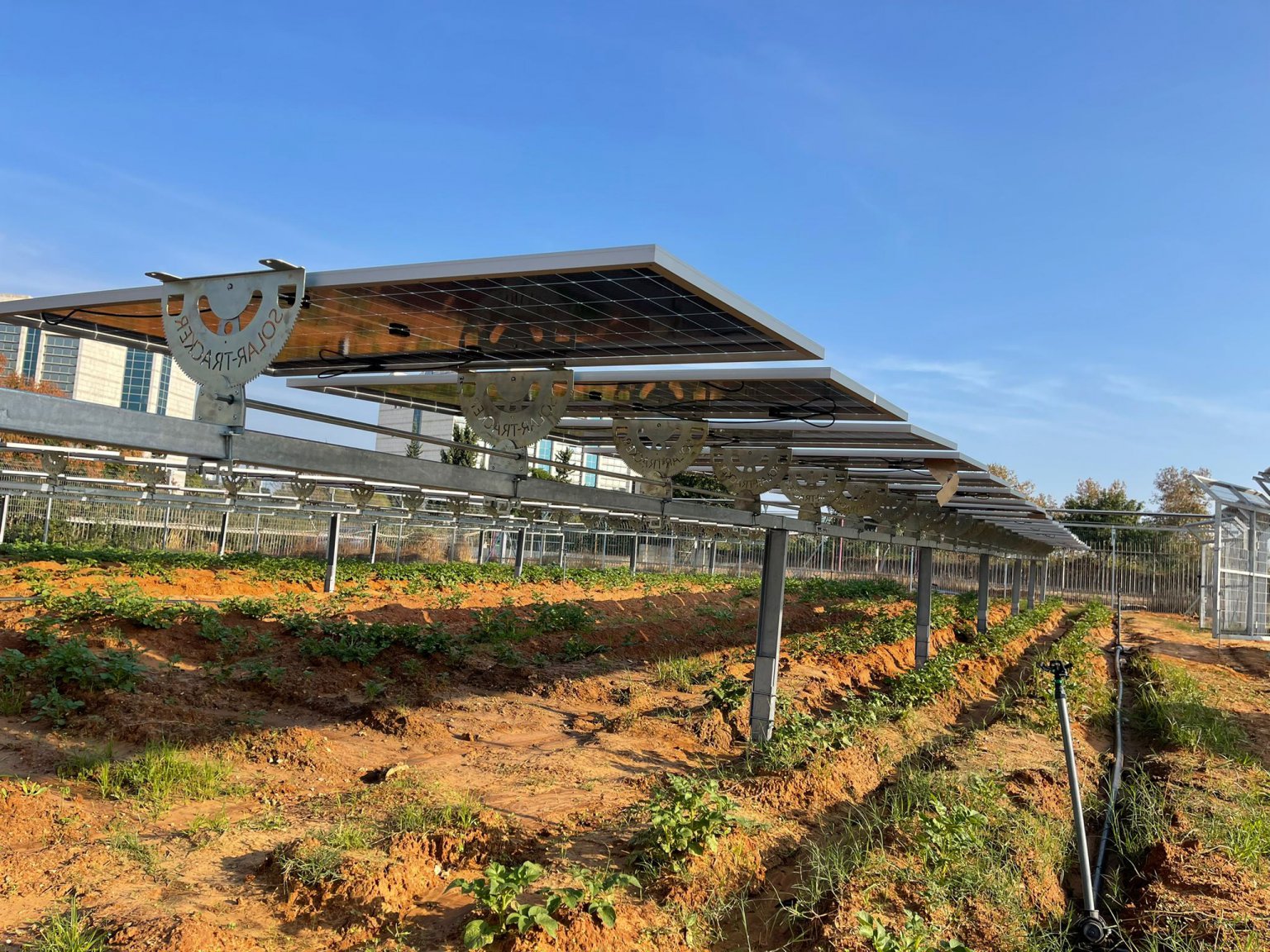 Home - Doral Renewables LLC